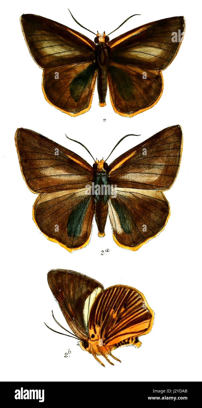 BuraraEtelka 749 2 Stock Photo - Alamy