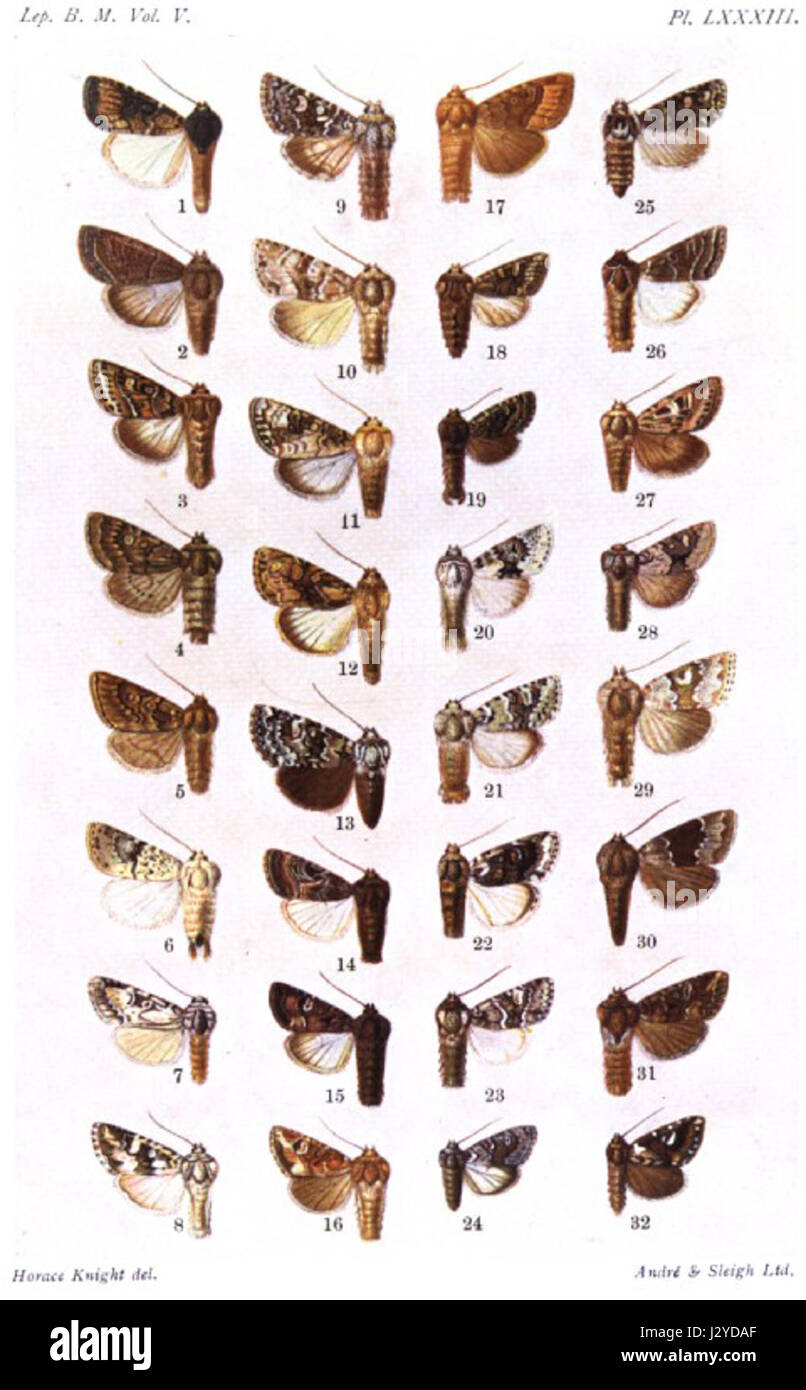 Catalogue bm plate hi-res stock photography and images - Alamy