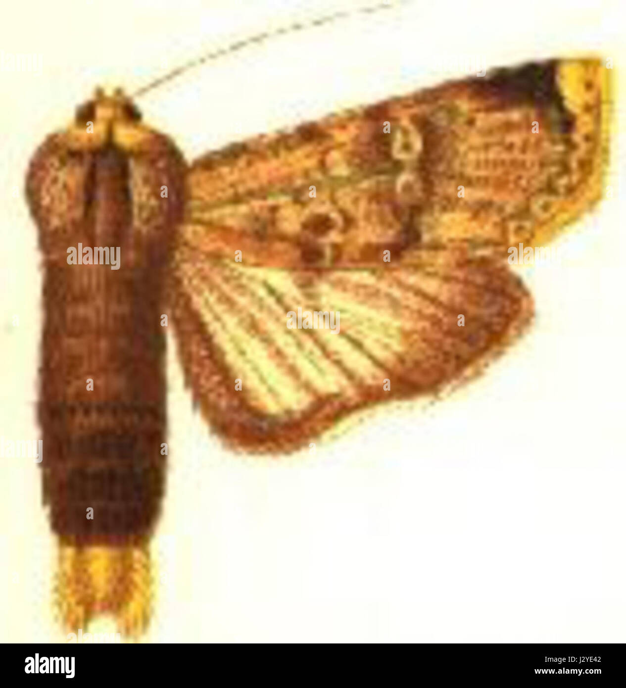 Cabra map hi-res stock photography and images - Alamy