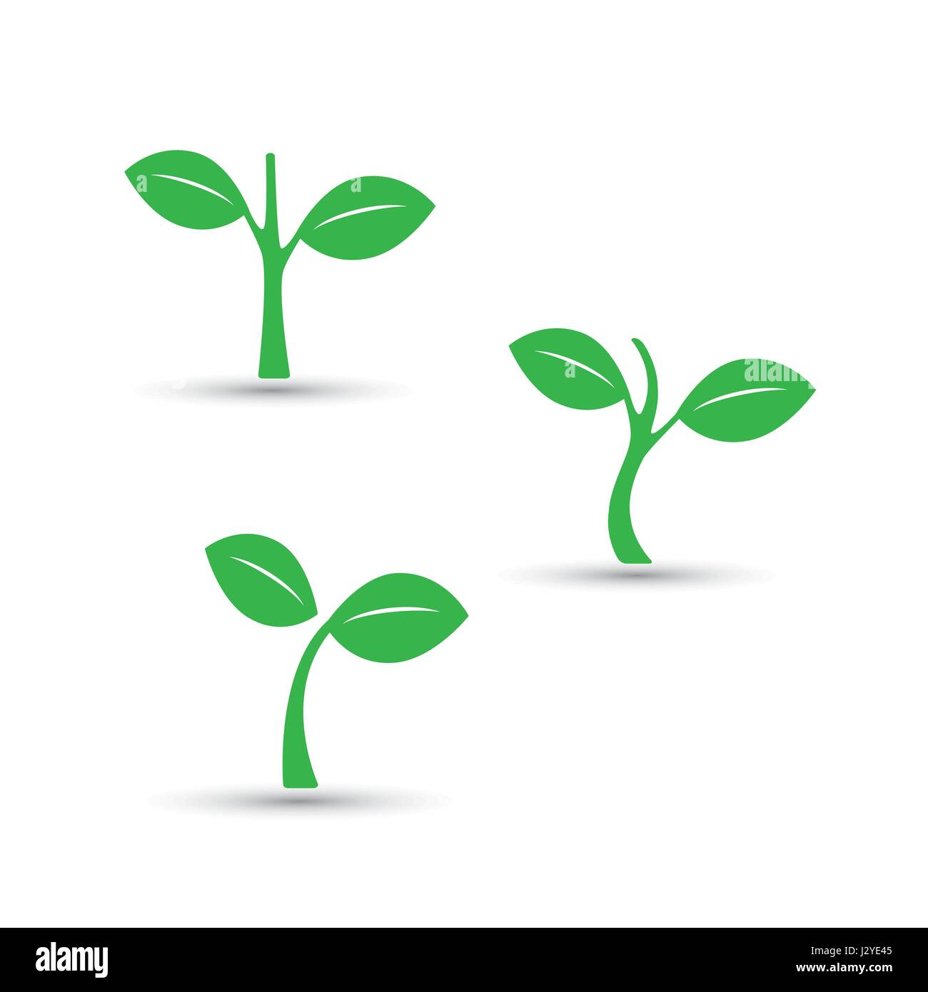 Seedling illustration hi-res stock photography and images - Alamy