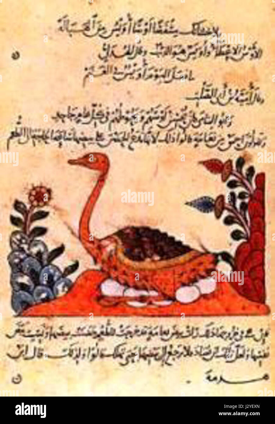 *Kitaab al Hayawaan* by Al-Jahiz is an important medieval Arabic text ...