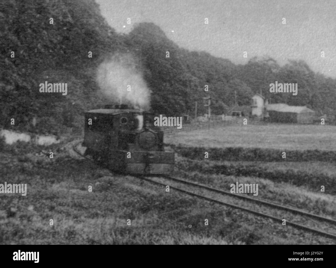 This image depicts a train near Bideford, England, around 1905. BWH&AR ...