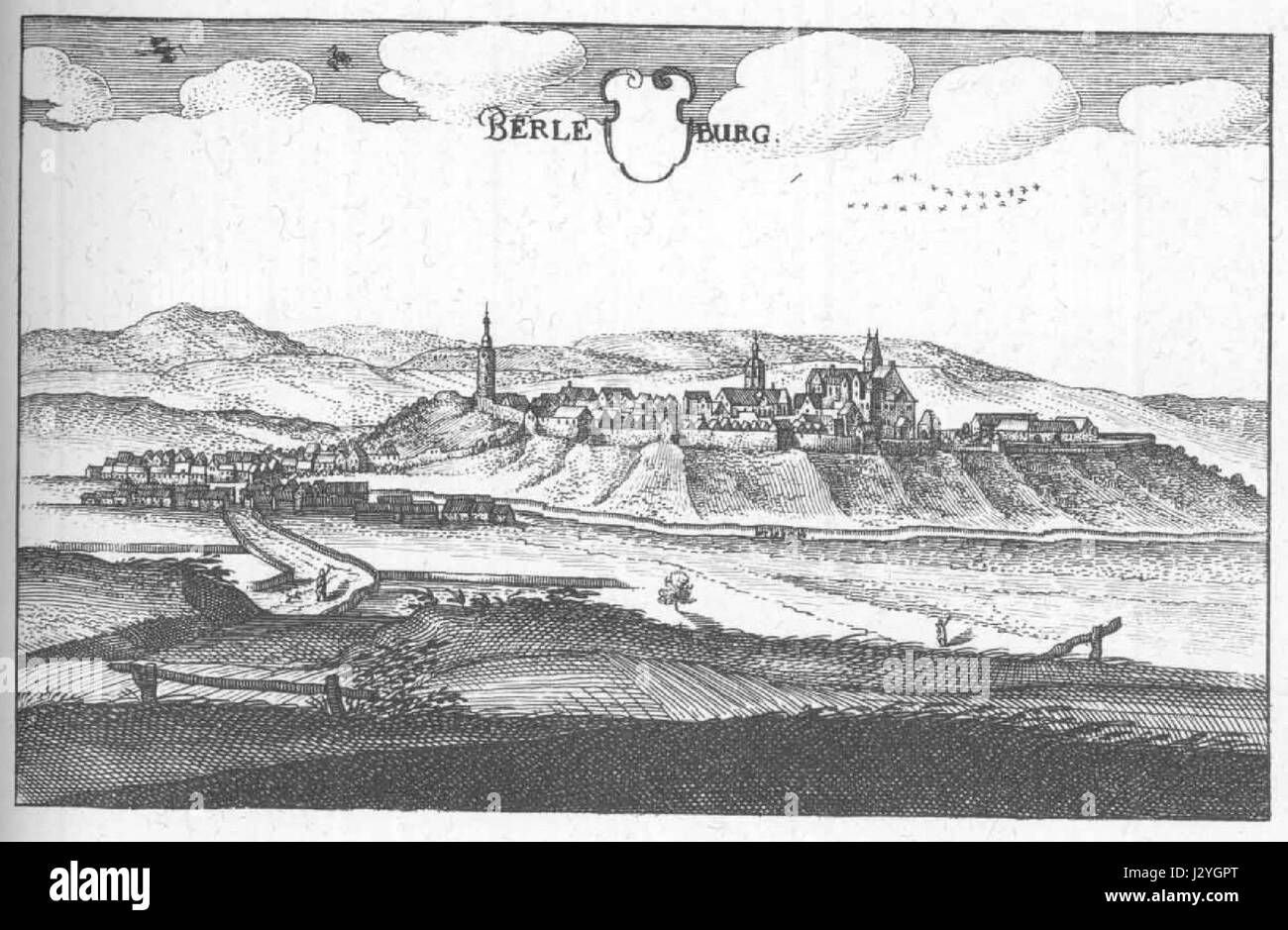 Copper of merian hi-res stock photography and images - Alamy