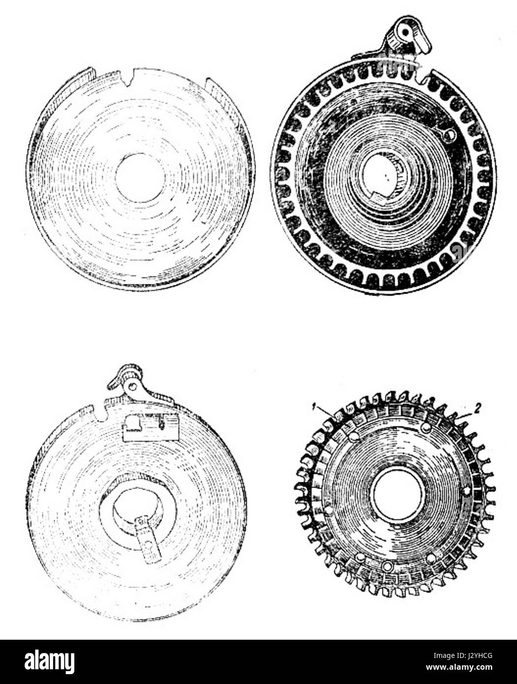 Blume Cut Out Stock Images & Pictures - Alamy