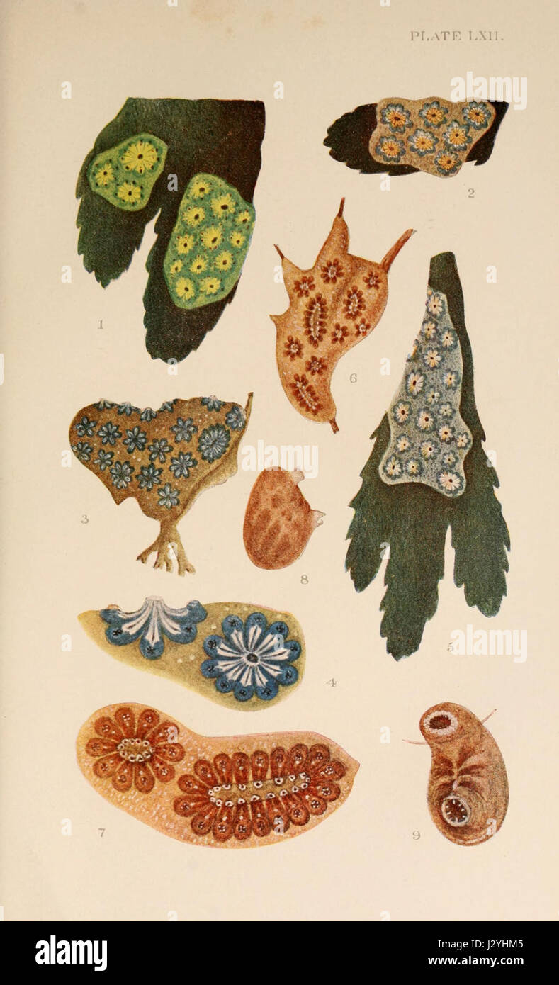 Marine 6 hi-res stock photography and images - Alamy