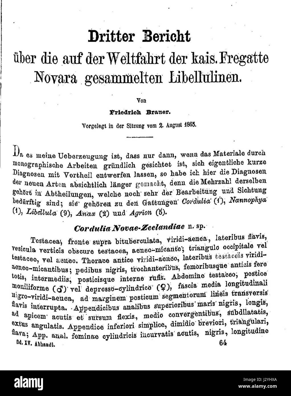 Brauer, a prominent figure in the mid-19th century, is recognized for ...