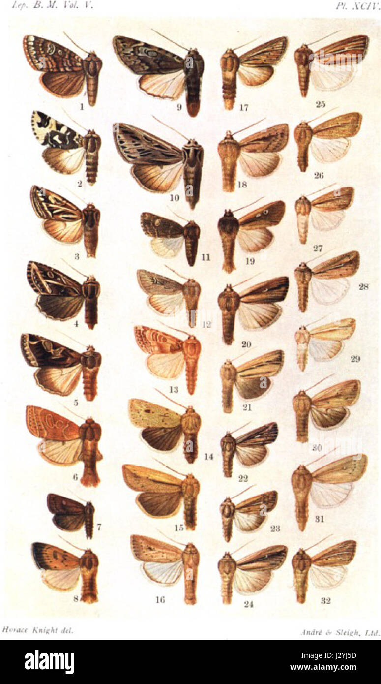 Xciv hi-res stock photography and images - Alamy