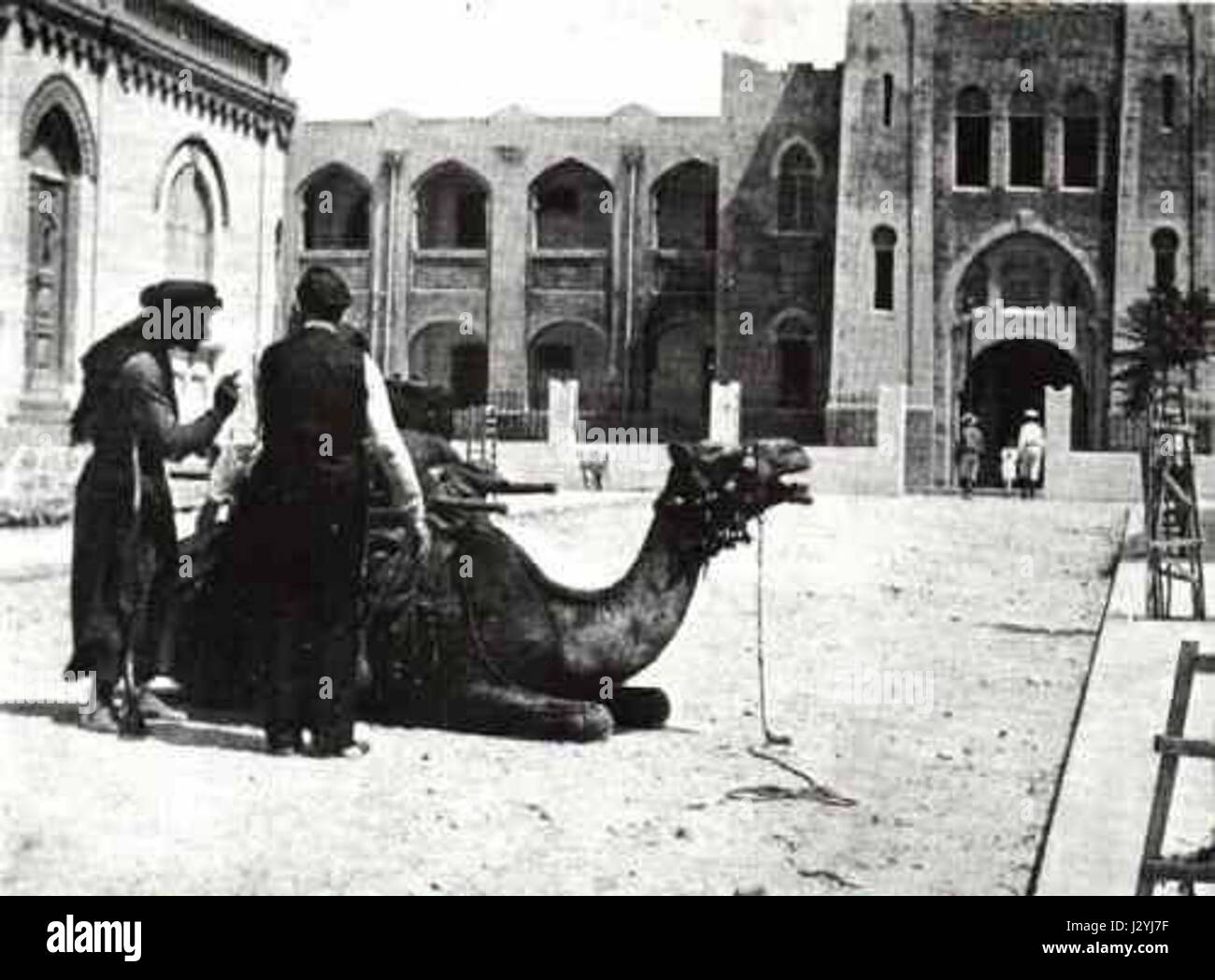 Camel taxi hi-res stock photography and images - Alamy