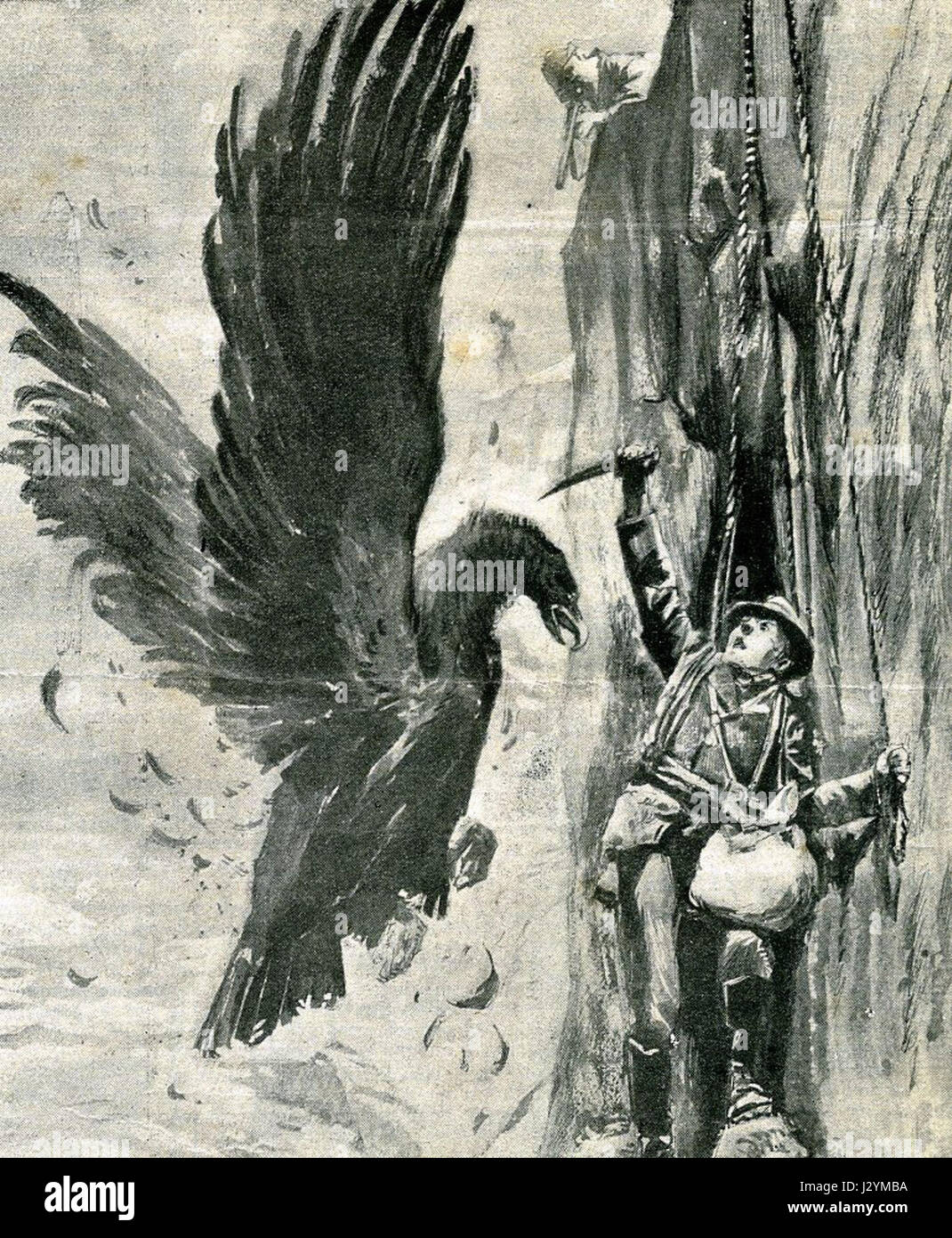 Aiglon hi-res stock photography and images - Alamy