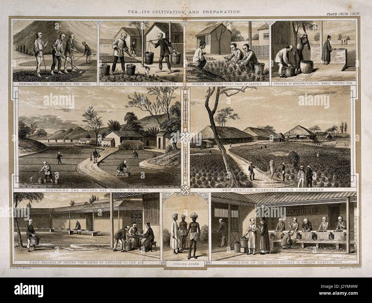 Map of assam hi-res stock photography and images - Alamy