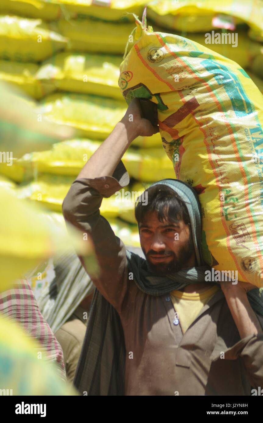 Islamabad, Pakistan. 01st May, 2017. Laborer is working hard at Sabzi Mandi Islamabad on World ...