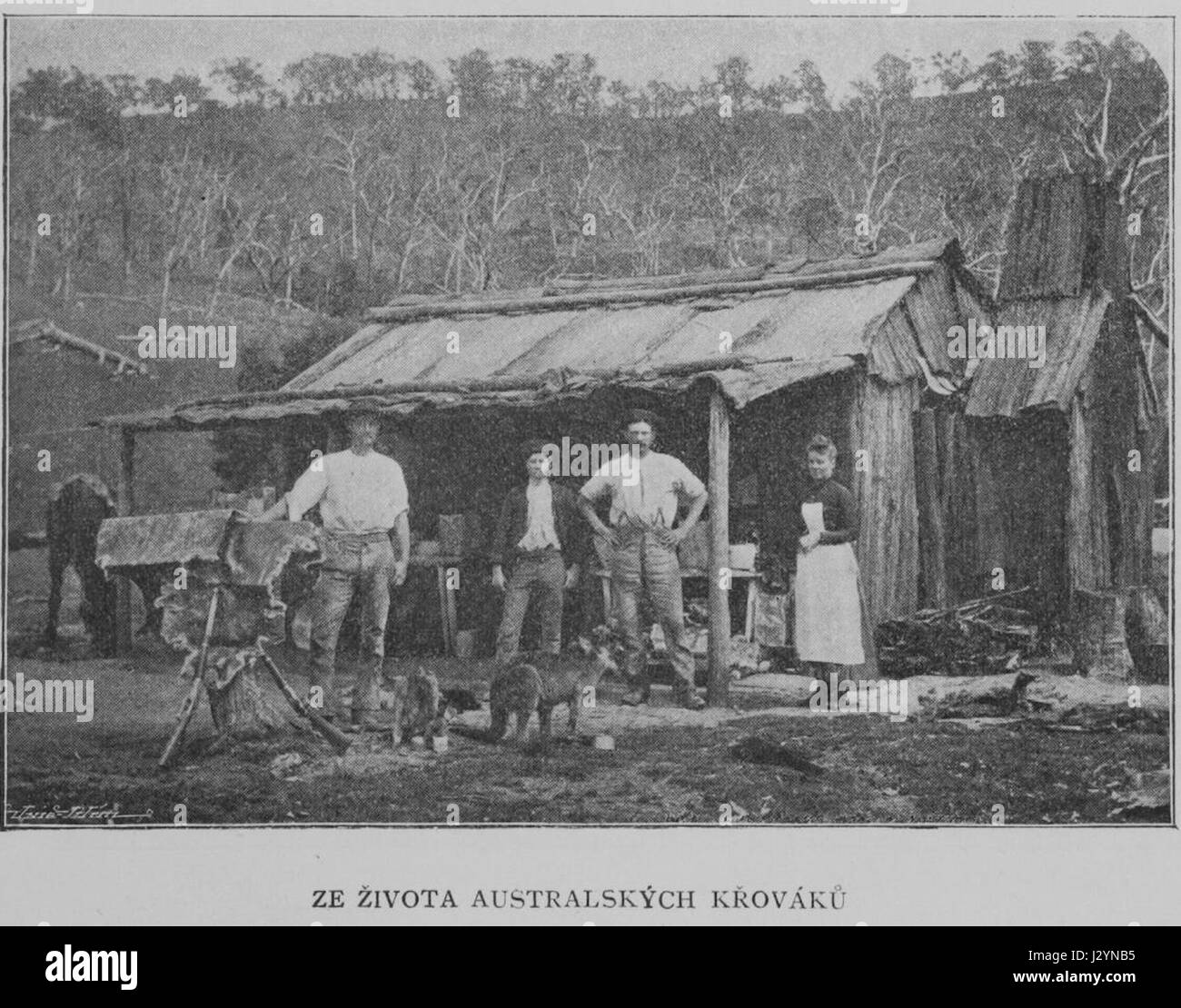 The term 'Australian Bushmen' refers to the rugged individuals of ...