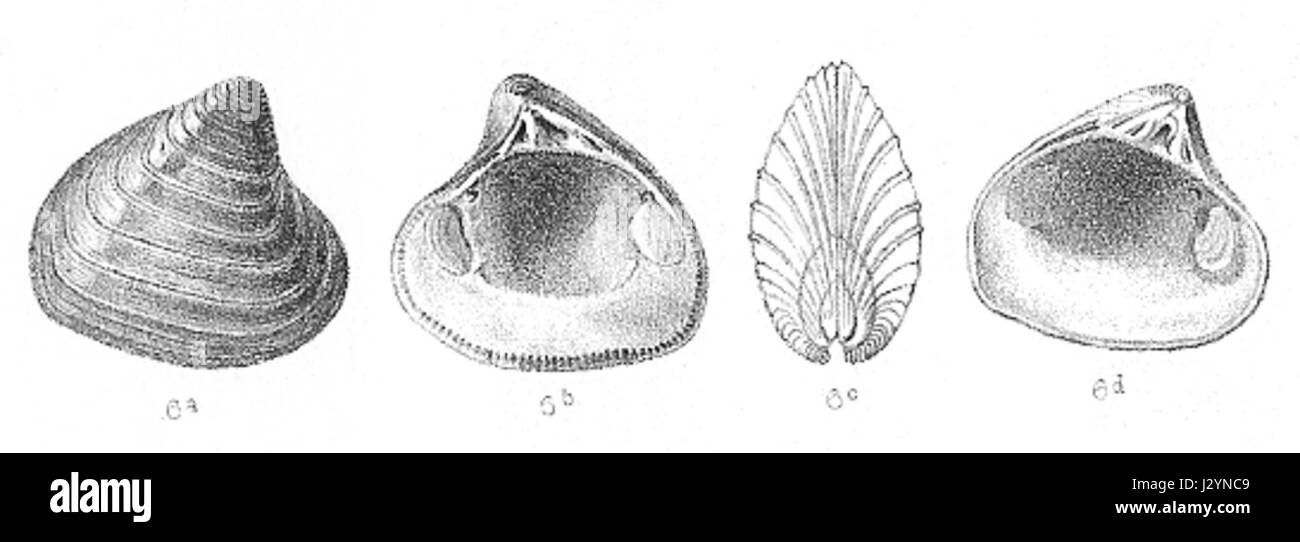 Asherah or astarte or ashtart or anat hi-res stock photography and ...