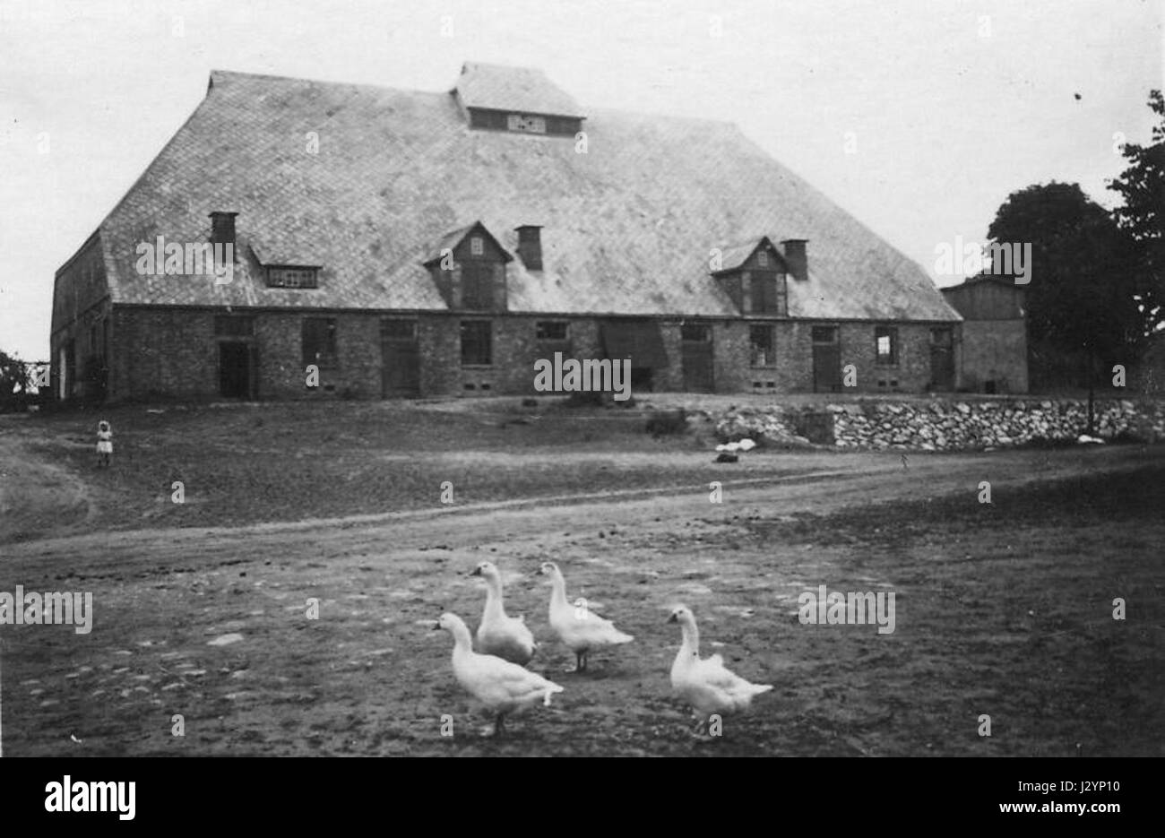 Benz Kuhstall 1933 Stock Photo - Alamy