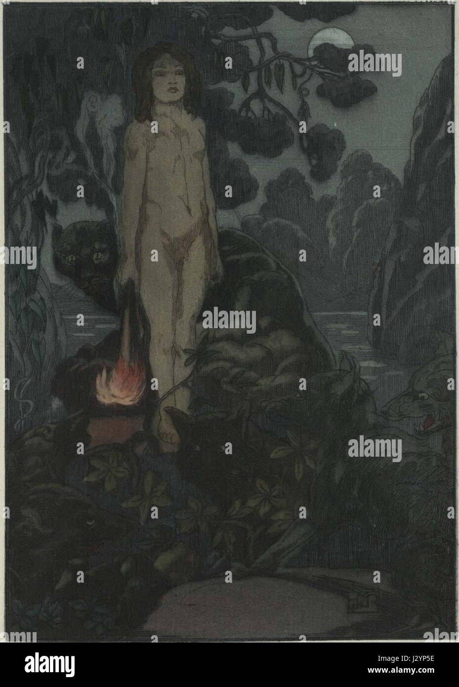 Vintage jungle print hi-res stock photography and images - Alamy