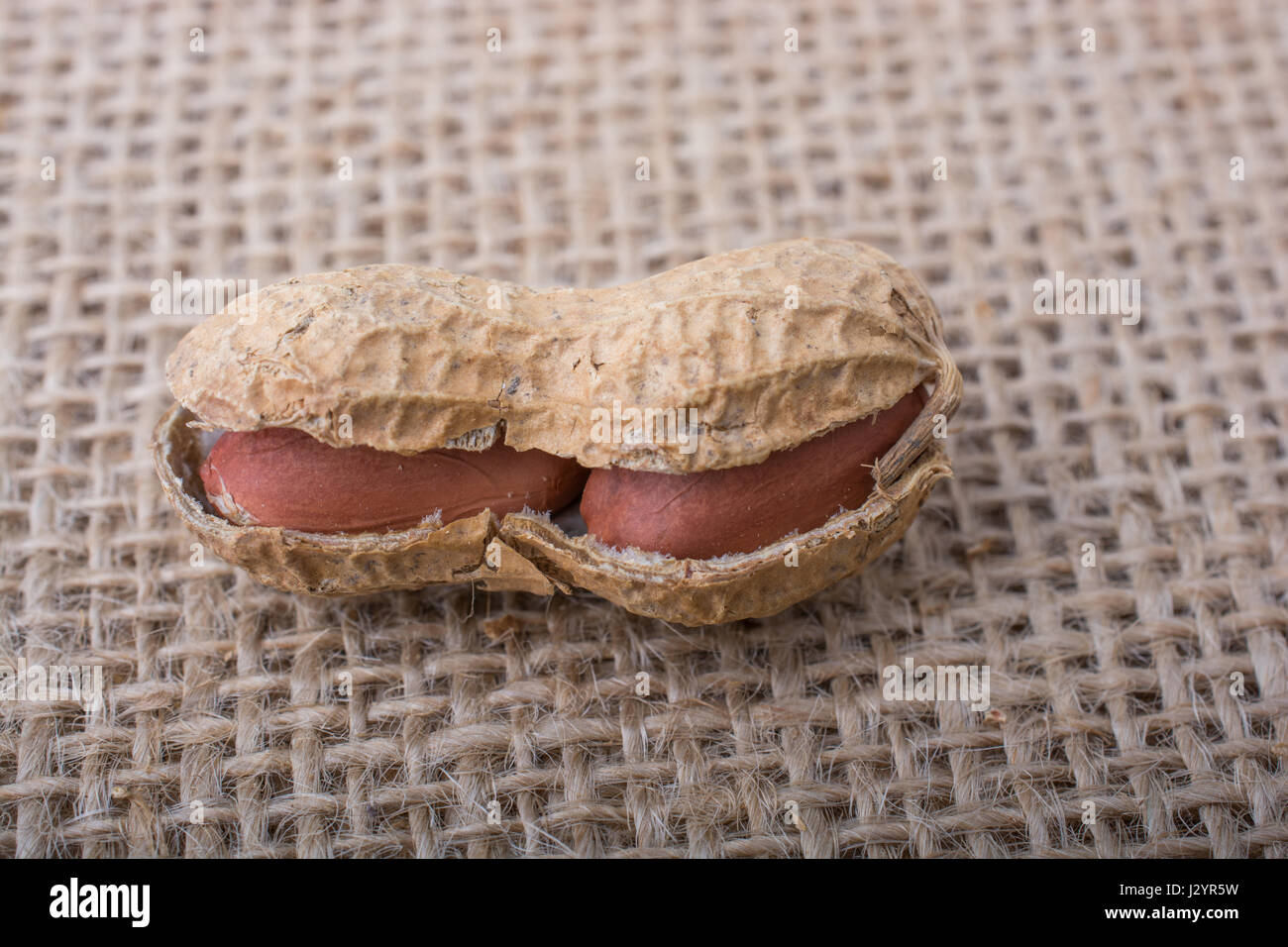 Cracked peanut with shell on a linen canvas background Stock Photo - Alamy