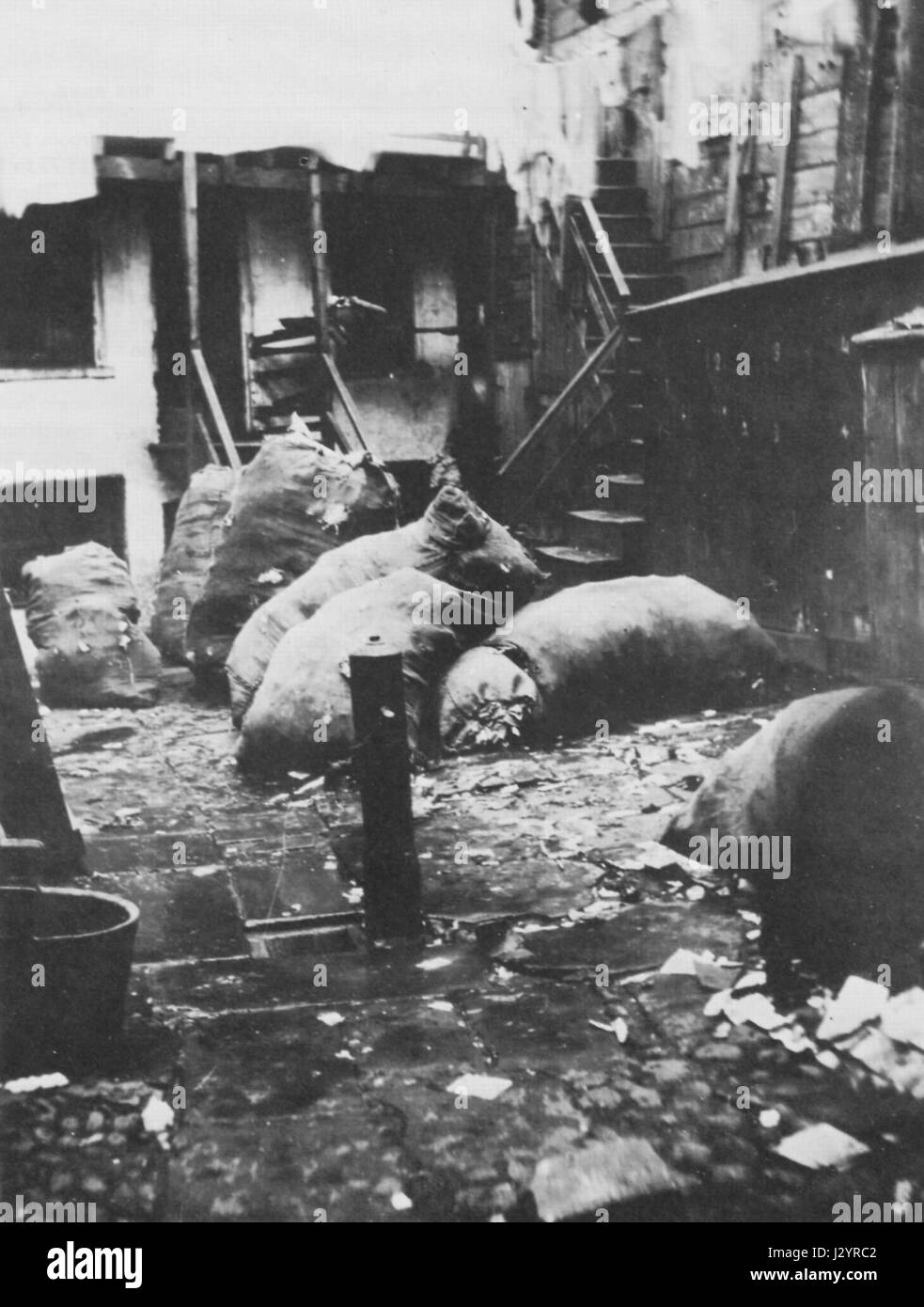 Bottle Alley is a historic area in Brighton, England, known for its ...