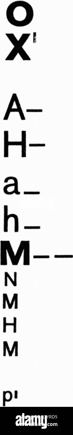 Pushing the boundaries Black and White Stock Photos & Images - Alamy