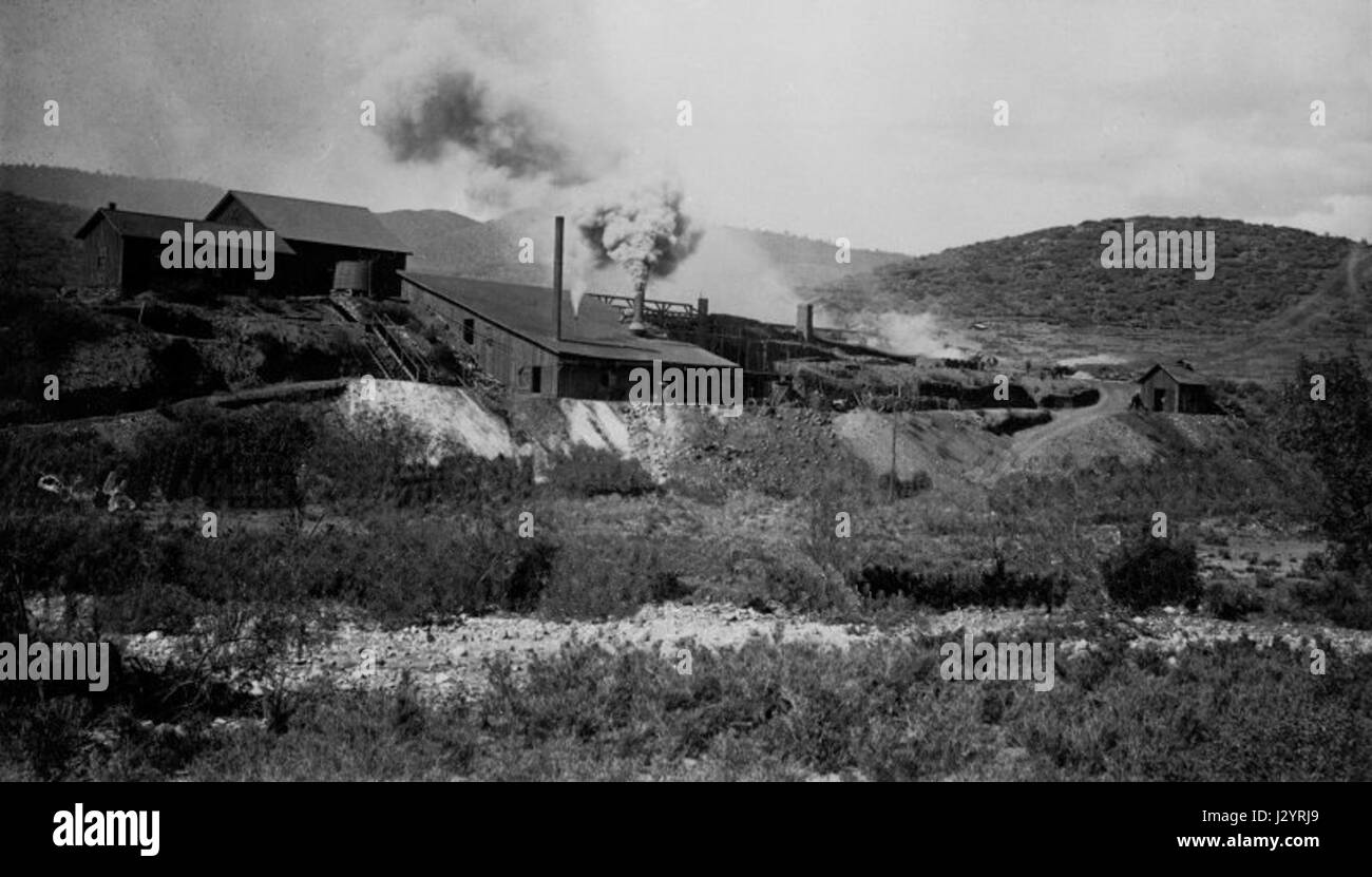 Bug classification hi-res stock photography and images - Alamy