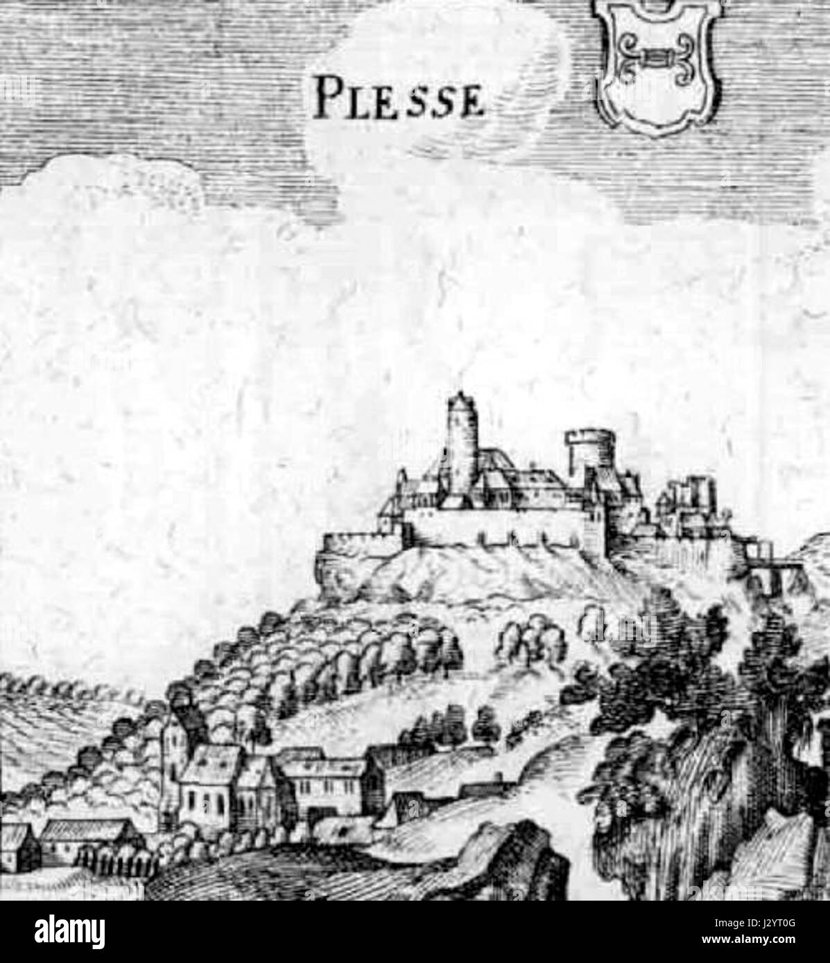 The 'Burg Plesse' is a historic castle in the region of Hesse, Germany ...