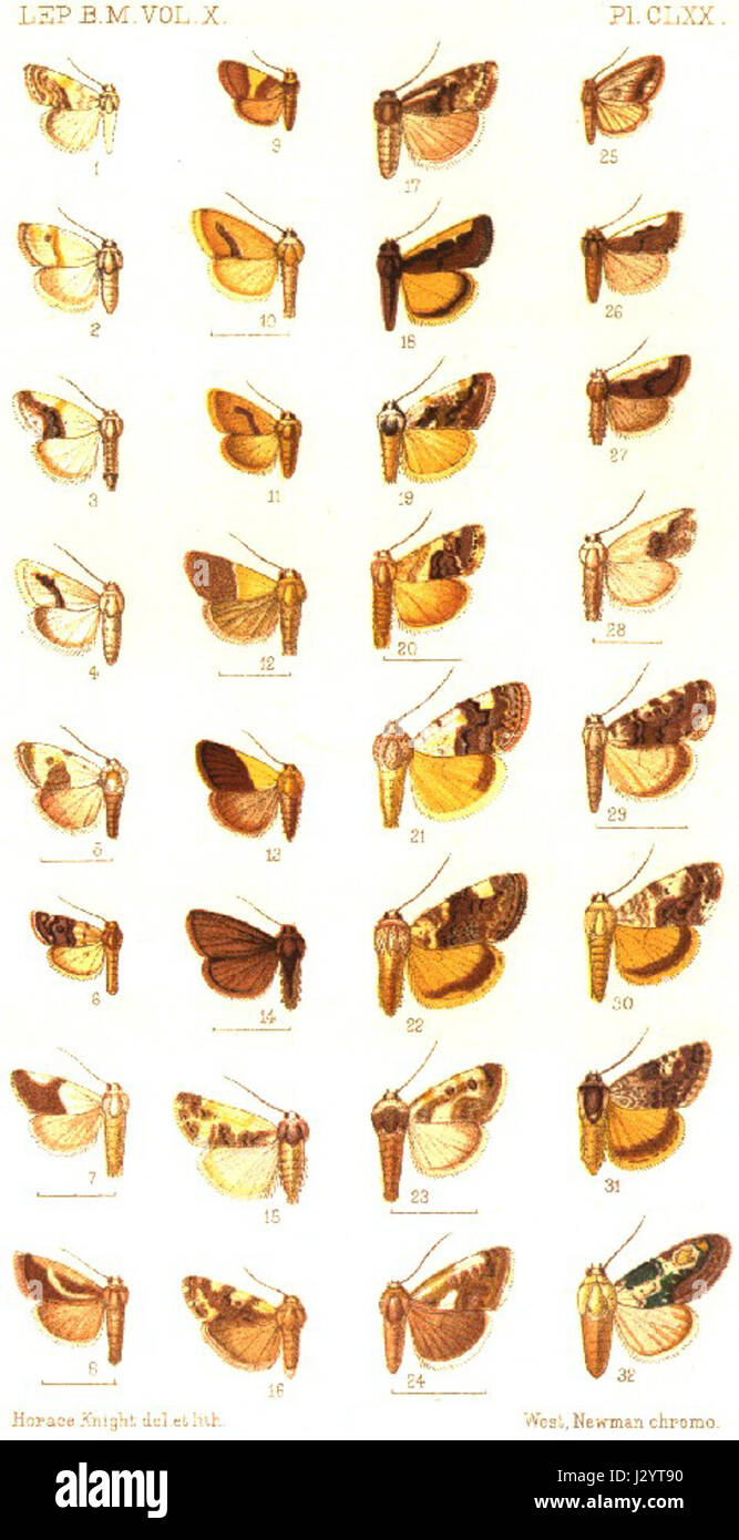 Clxx hi-res stock photography and images - Alamy