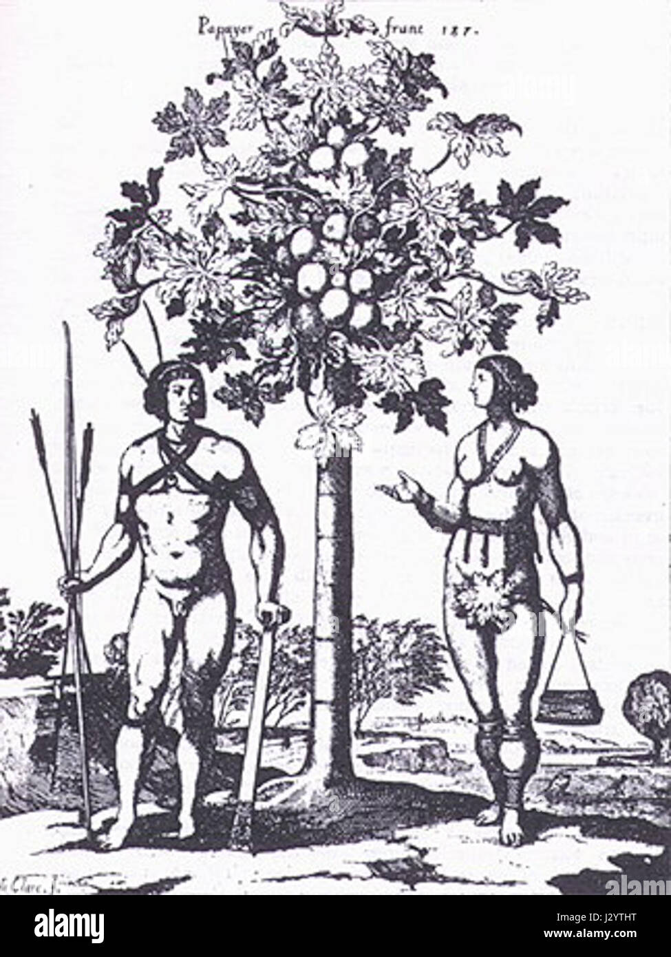 Caribes hi-res stock photography and images - Alamy