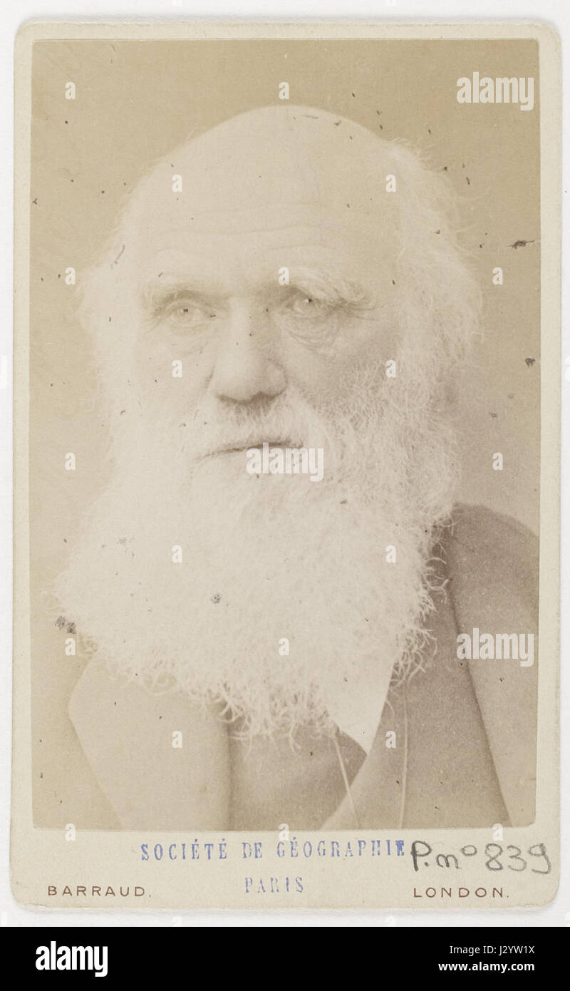 This portrait of Charles Darwin, created by artist Barraud in 1881 ...