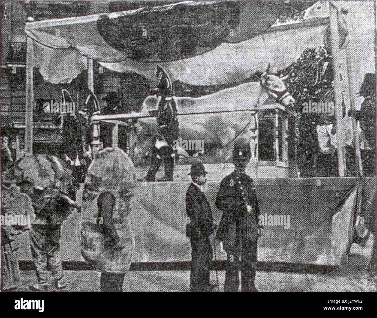 The Char du Boeuf Gras, a type of ceremonial French ox, was displayed ...