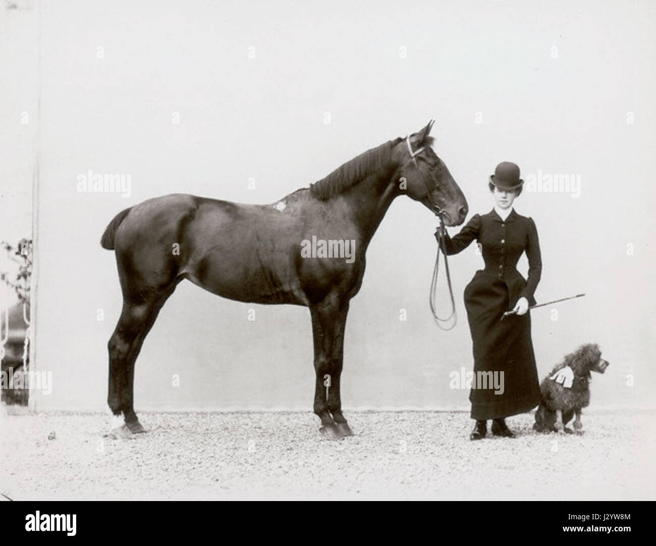 Woman with Horse and Miniature Poodle Stock Photo - Alamy