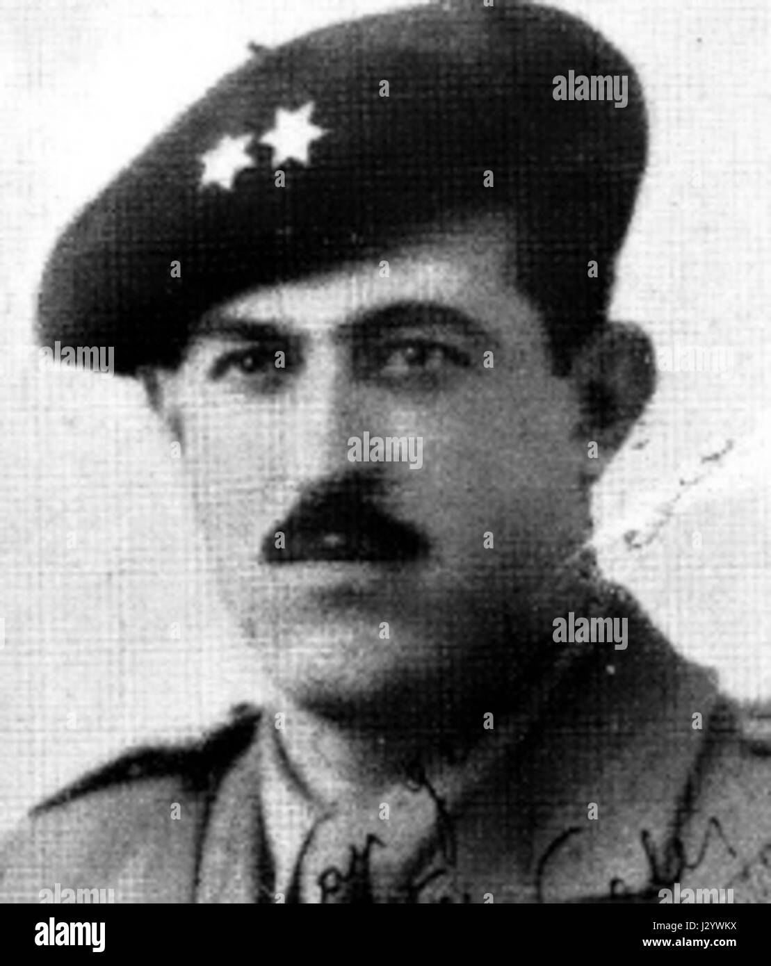 Frontline gold hi-res stock photography and images - Alamy