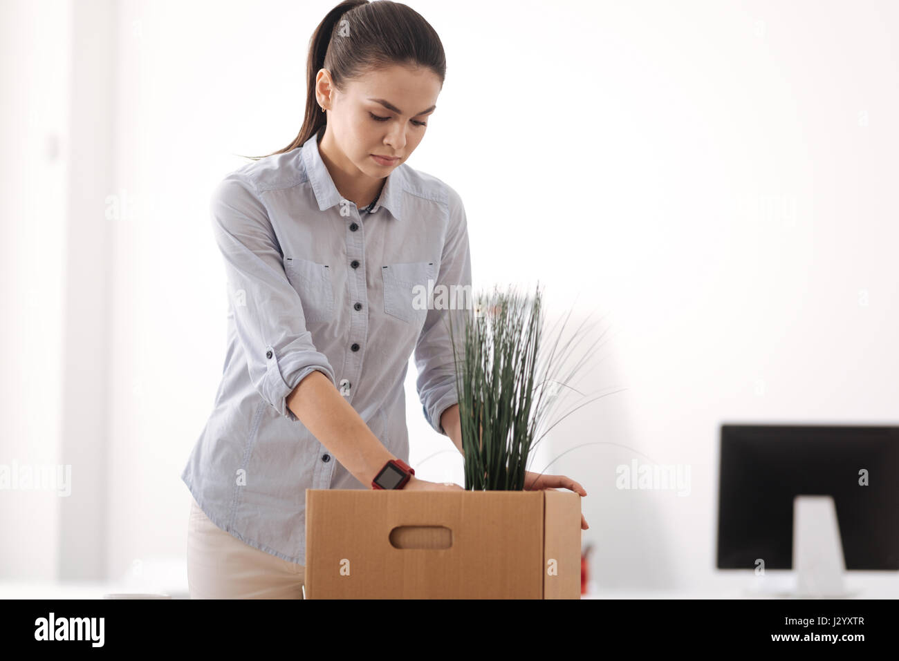 Very attentive girl putting plant into box Stock Photo - Alamy