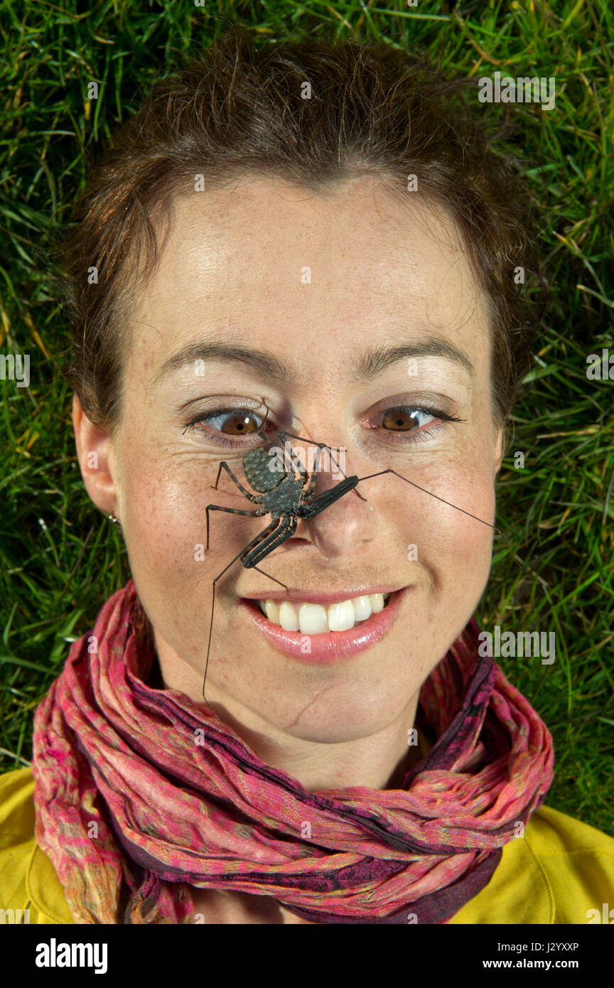 Dr.Sarah Beynon an entomologist, with British Dung Beetle (Geotrupes ...