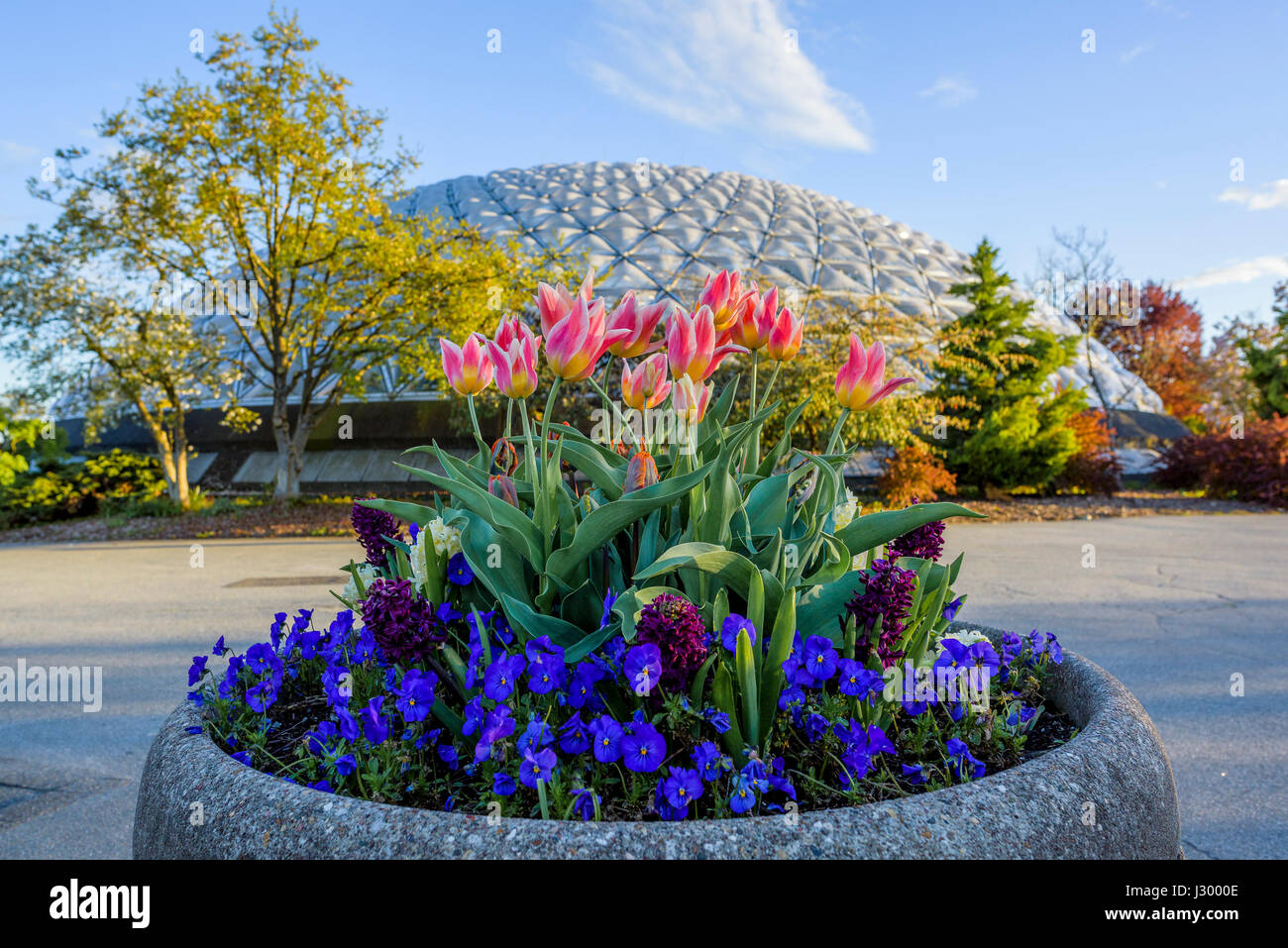 Queen Elizabeth Park British Columbia Queen Elizabeth Park In West