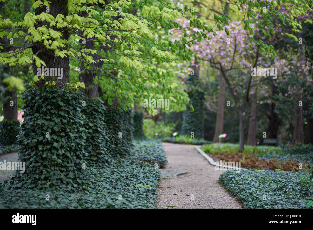 Botanical Gardens of Wroclaw in the spring Stock Photo - Alamy