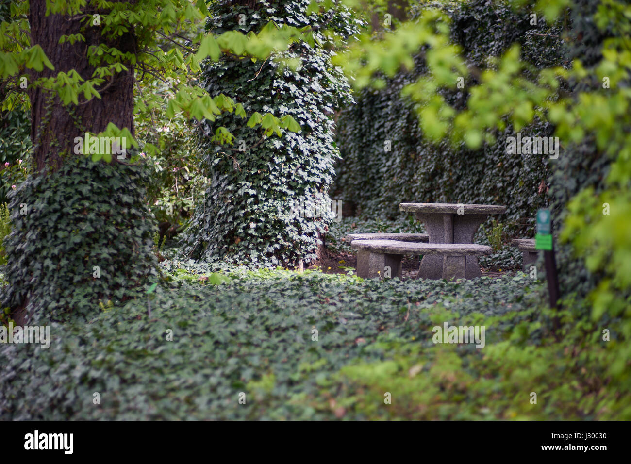 Botanical Gardens of Wroclaw in the spring Stock Photo - Alamy