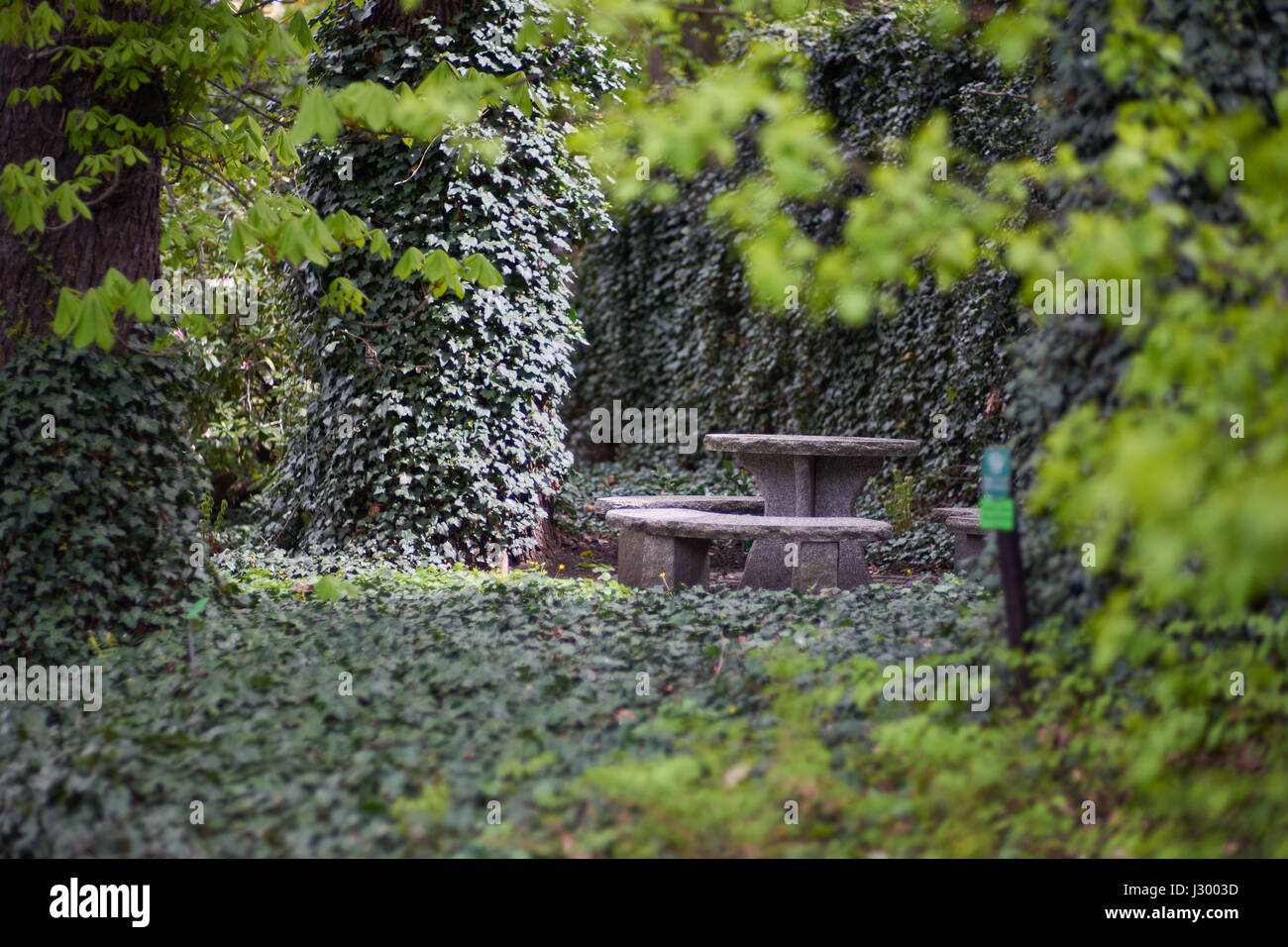 Botanical Gardens of Wroclaw in the spring Stock Photo - Alamy