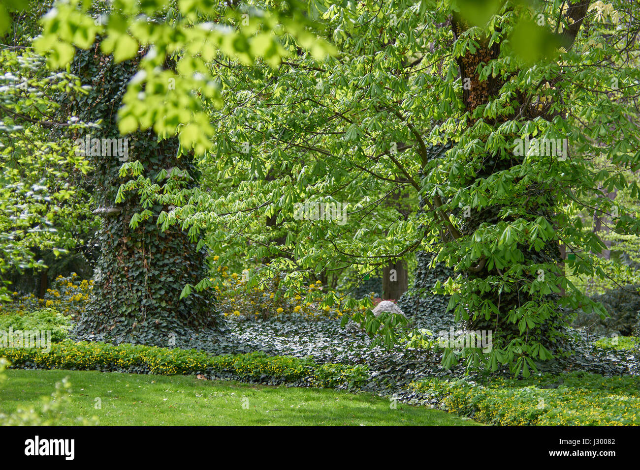 Botanical Gardens of Wroclaw in the spring Stock Photo - Alamy