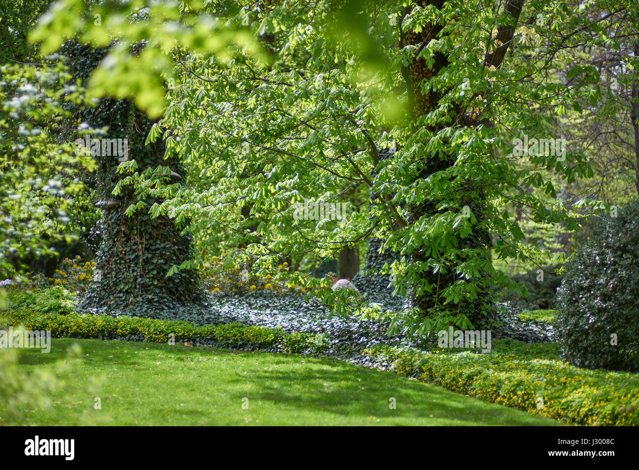 Botanical Gardens of Wroclaw in the spring Stock Photo - Alamy