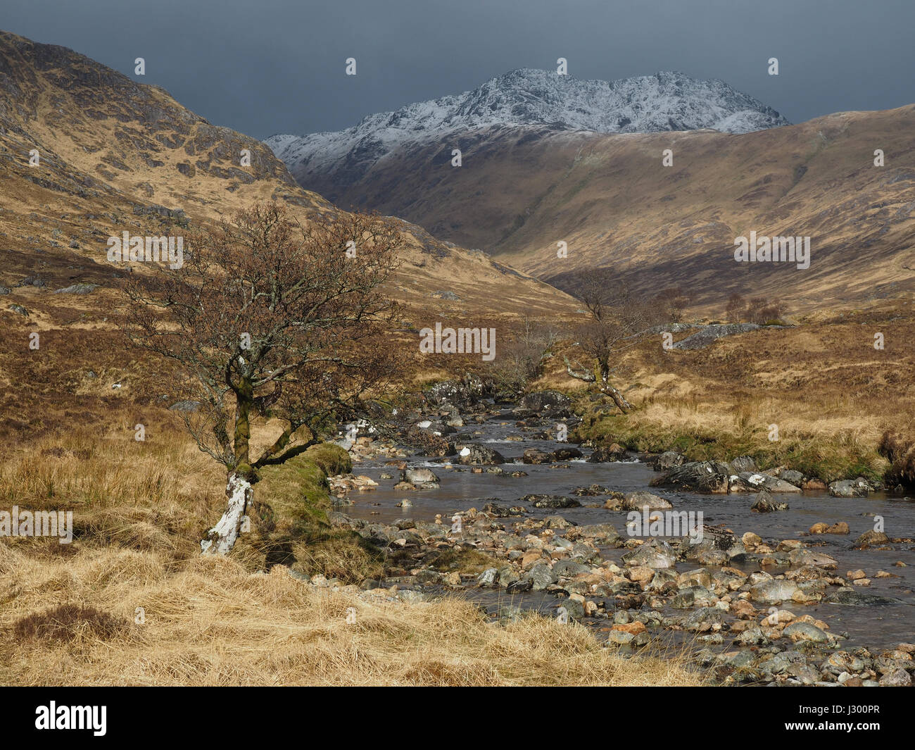 Ardgour hi-res stock photography and images - Alamy