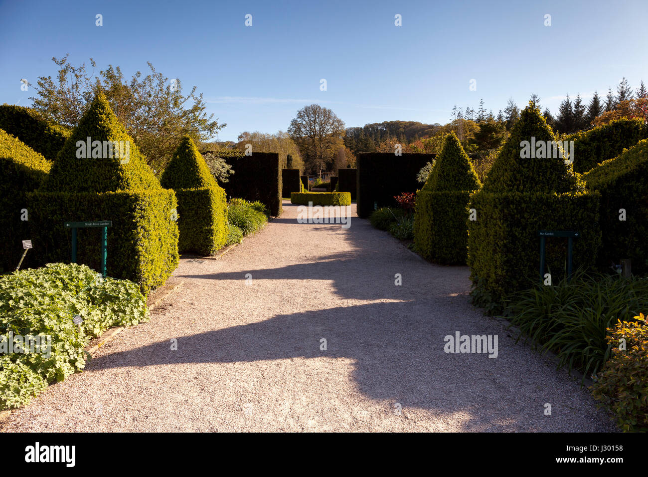 Rosemoor gardens hi-res stock photography and images - Alamy