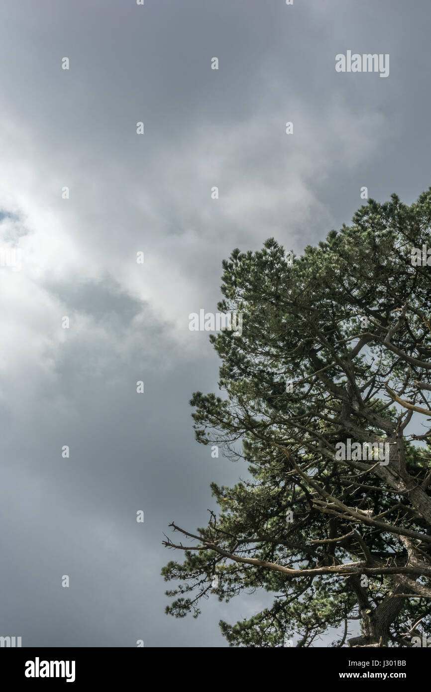 Stormskyer hi-res stock photography and images - Alamy