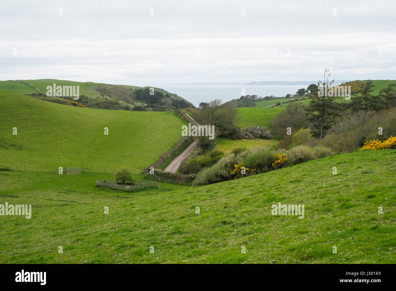 Fields looking down towards Hope Cove, Kingsbridge, South Devon ...
