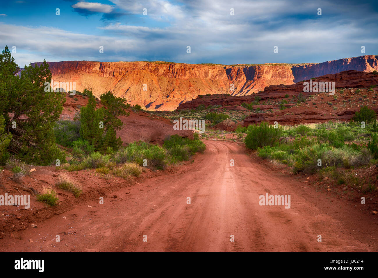 Gravel road through the desert of southern Utah Stock Photo - Alamy