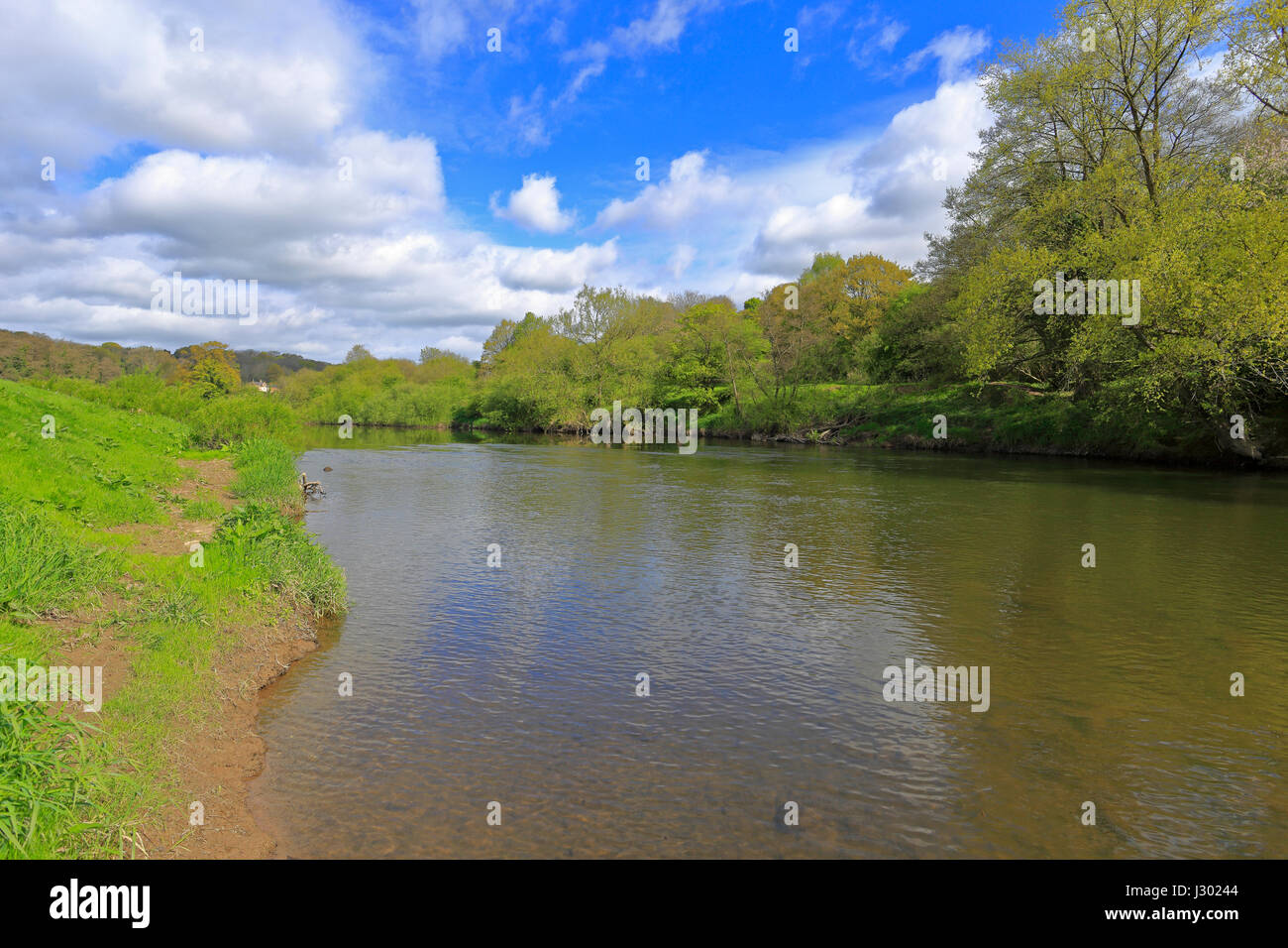 Stanley Water stretch on the River Severn, one of the most prolific for ...