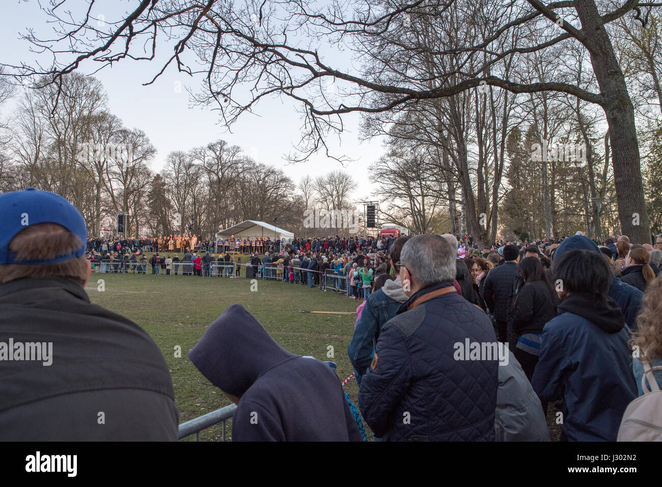 Traditional Swedish celebration of spring at Walpurgis night with ...