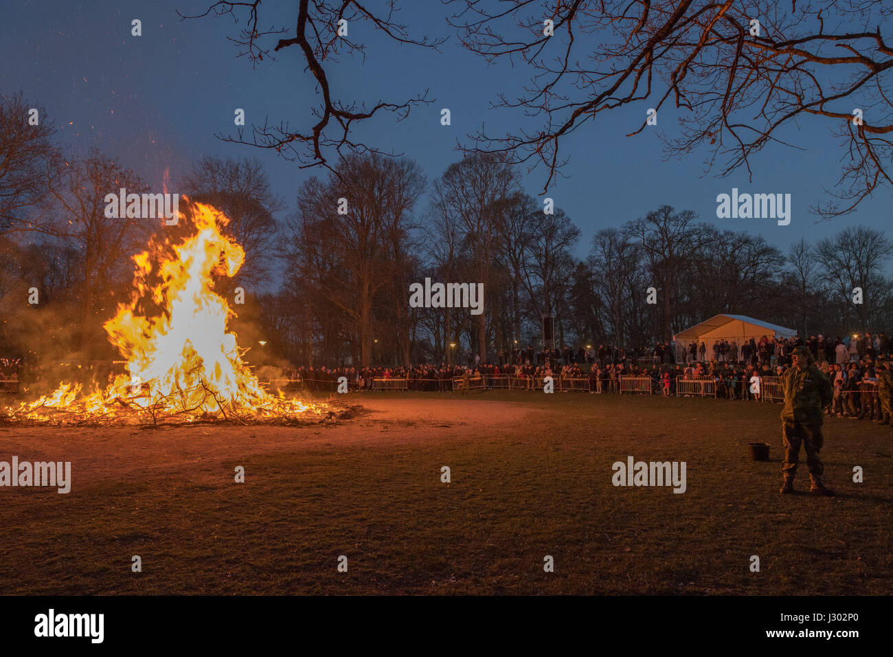 Traditional Swedish celebration of spring at Walpurgis night with ...