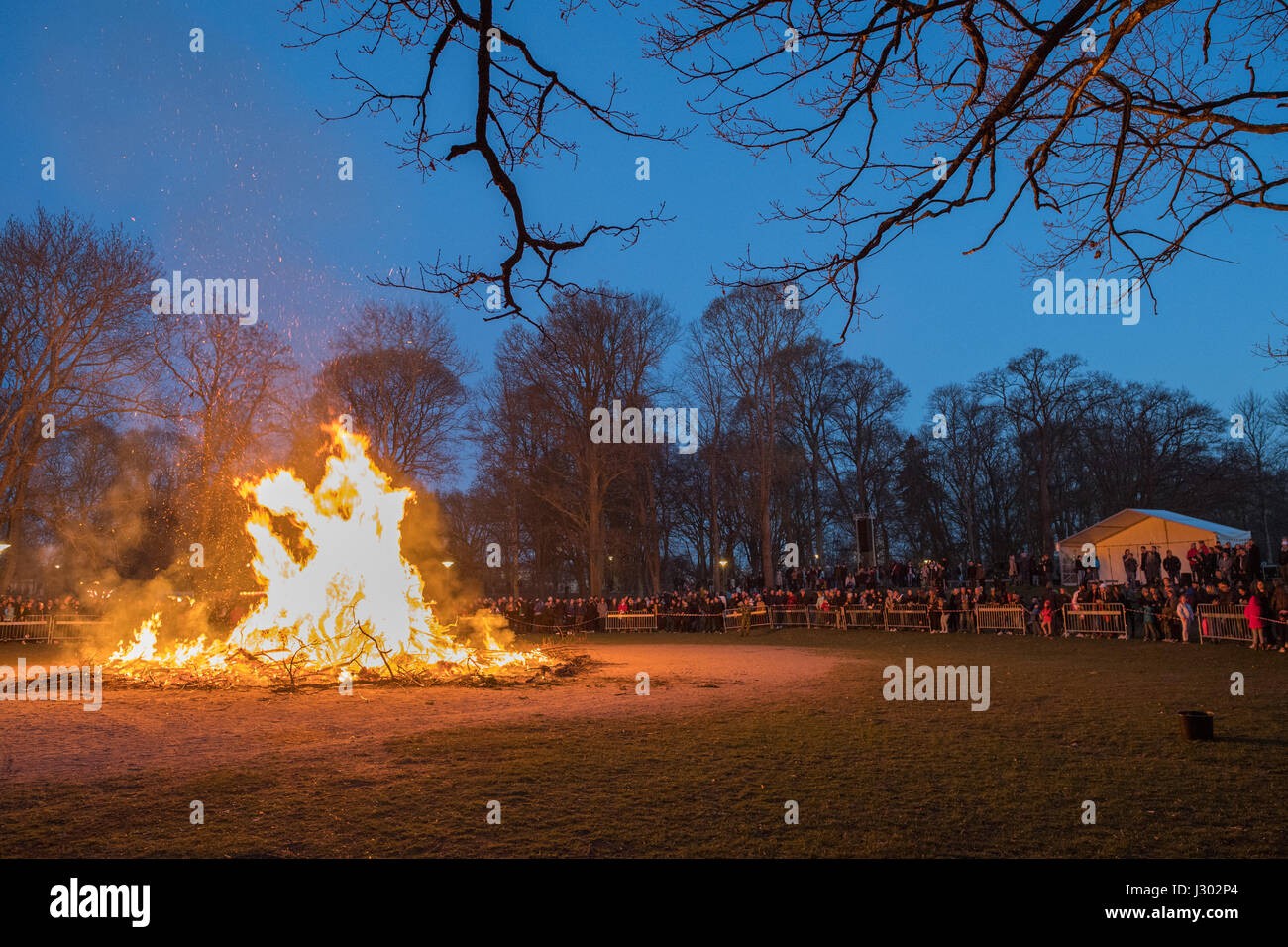 Traditional Swedish celebration of spring at Walpurgis night with ...