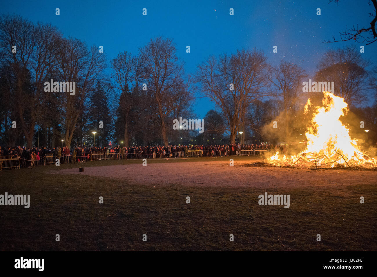 Traditional Swedish celebration of spring at Walpurgis night with ...