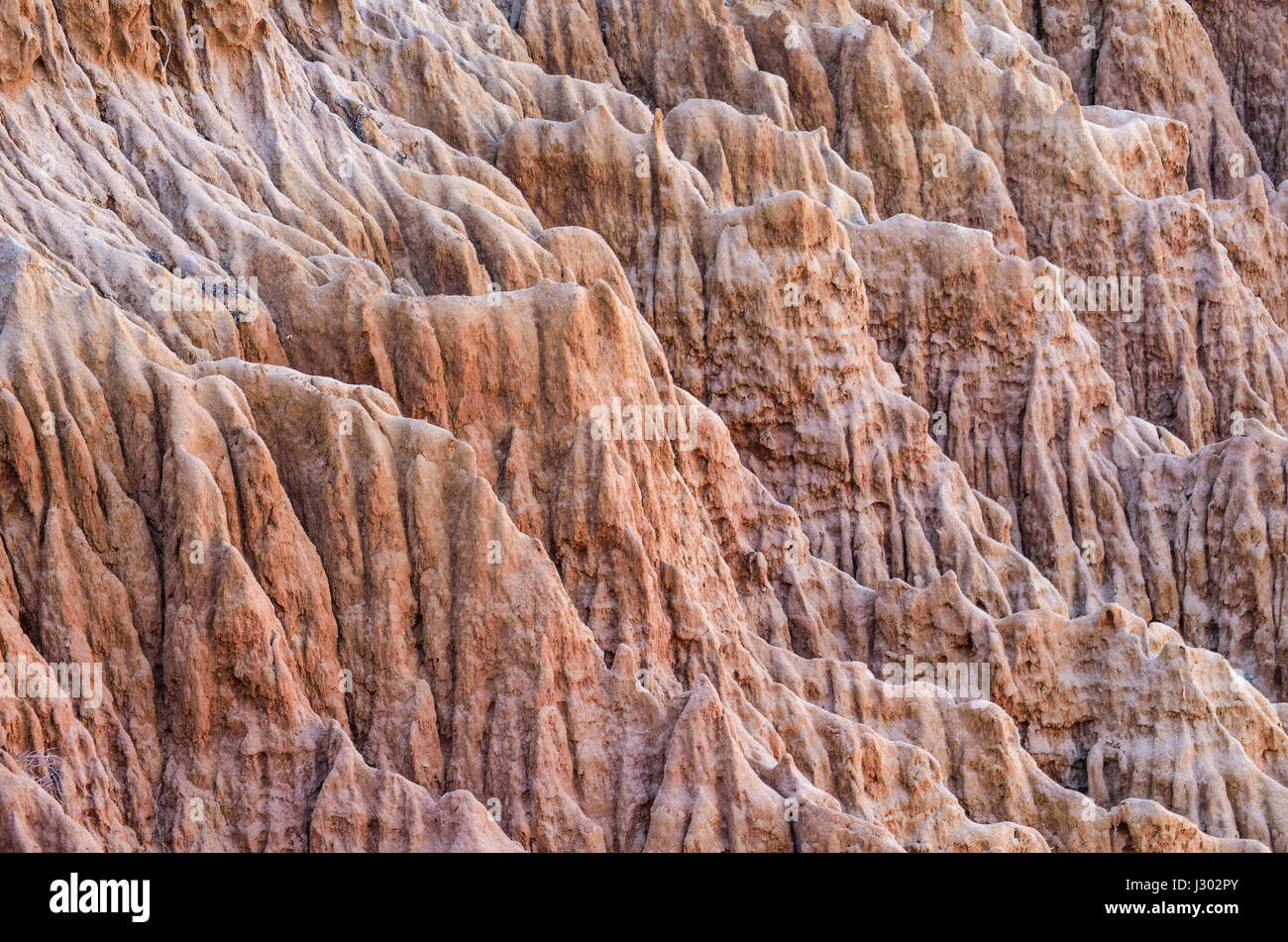 Closeup pattern of torrey pine eroded sandstone cliffs on coast in La Jolla by San Diego Stock ...