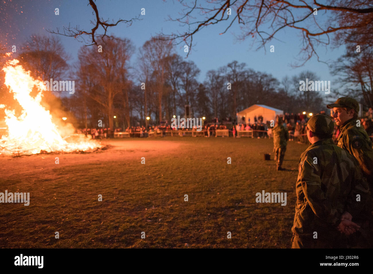 Traditional Swedish celebration of spring at Walpurgis night with ...